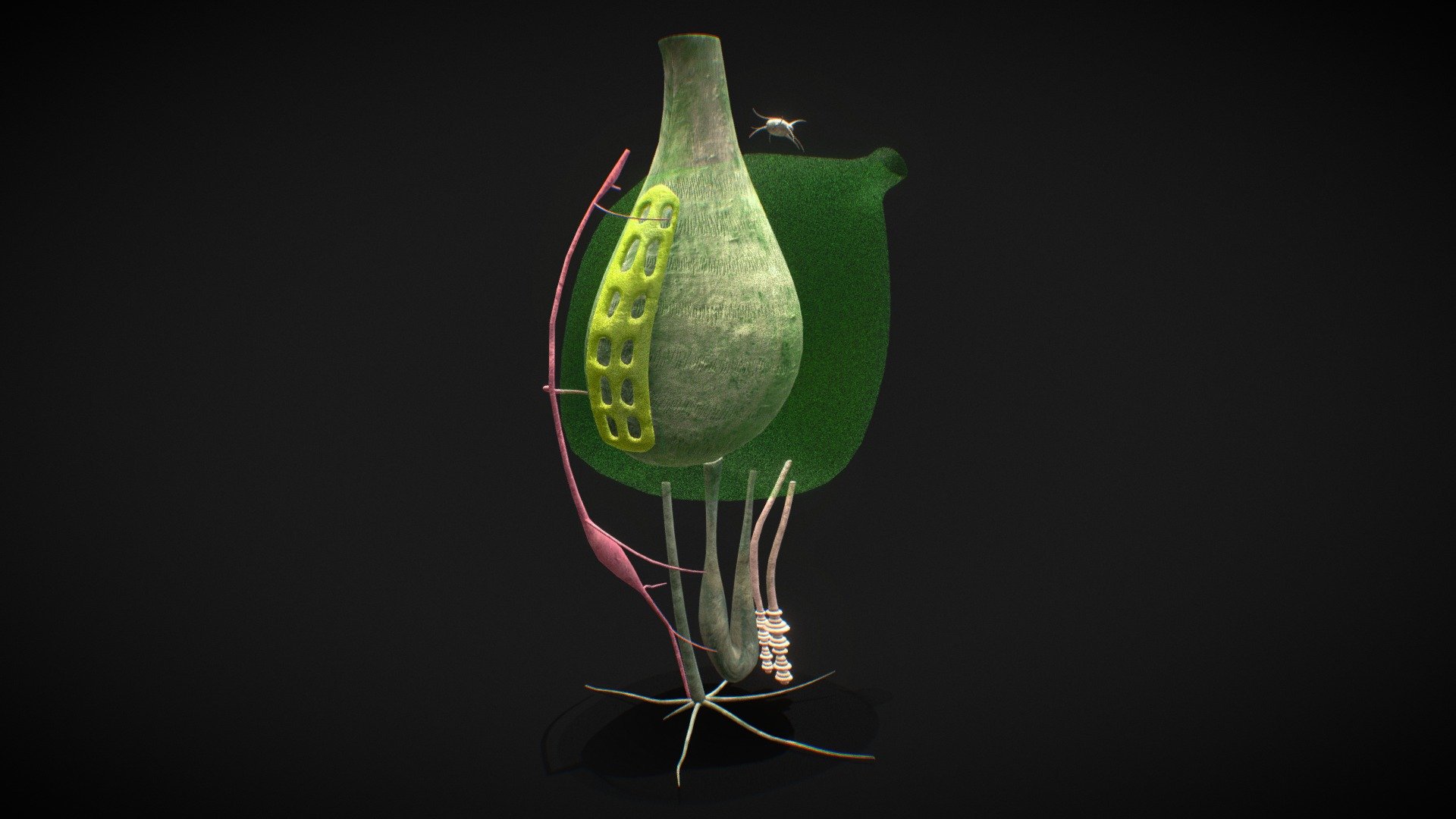 Ascidian - Buy Royalty Free 3D model by arloopa [ffc10d6] - Sketchfab Store