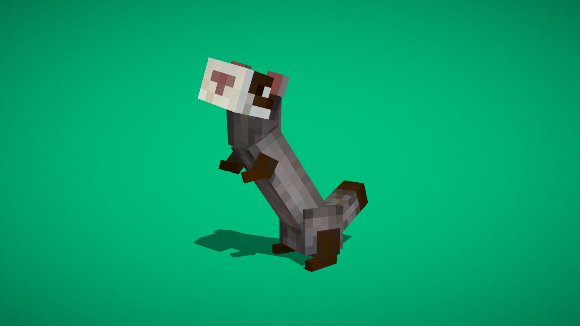 Ferret - 3D model by rozarke [ffc7345] - Sketchfab