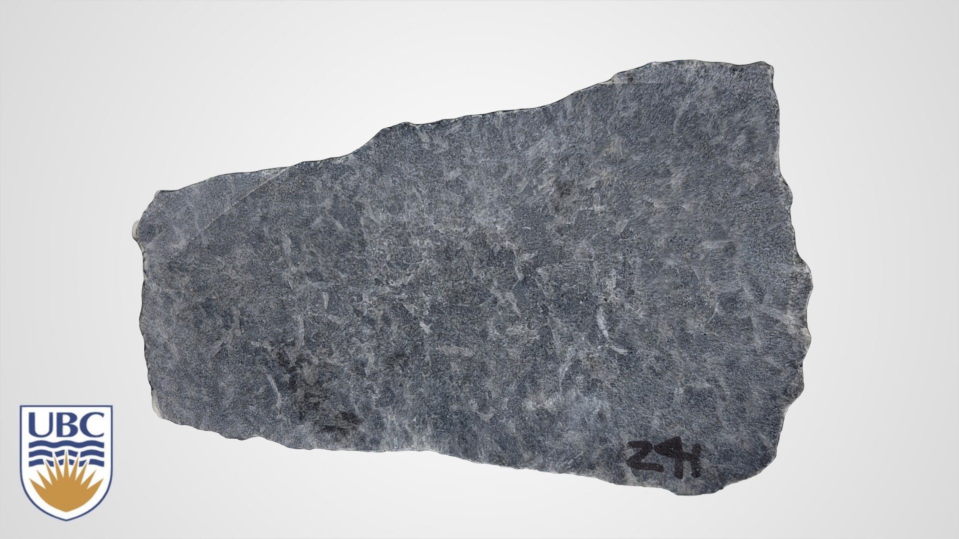 Skaergaard intrusion LZa* (SEB87-241-1) - 3D model by Nichole Moerhuis ...