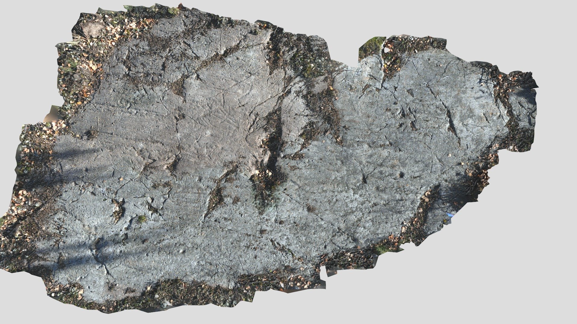 Boglosa124_1_omgjord_textur - 3D model by Opus Heritas 3D (@ulf1 ...