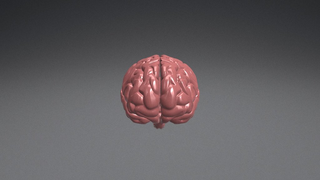 Brain - 3D model by DiegoYanez15 [ffd8032] - Sketchfab