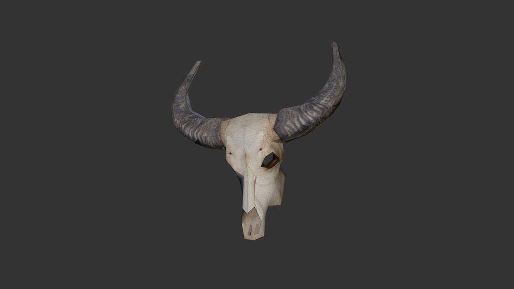 Buffel skull - 3D model by Herrie1973 [ffe4297] - Sketchfab