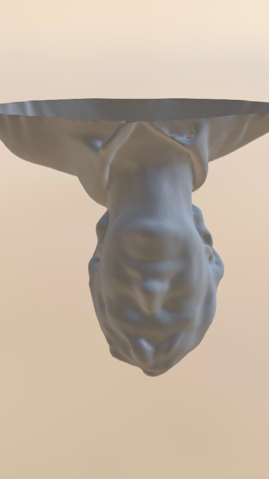 Rob - 3D model by robscott1954 [ffe9f1b] - Sketchfab