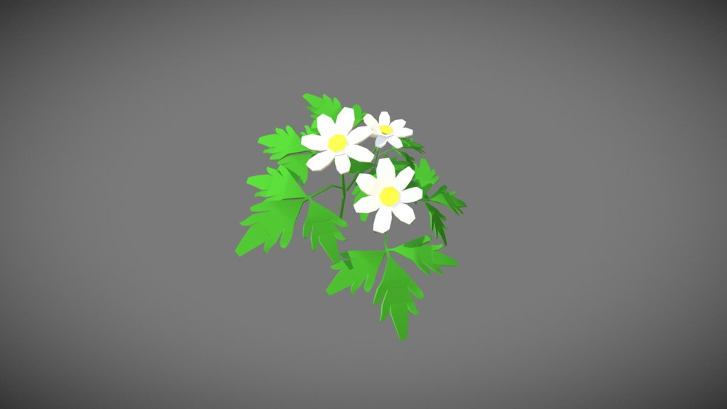 Wood anemone - 3D model by Viivi Luokkala (@ii2) [ffec371] - Sketchfab