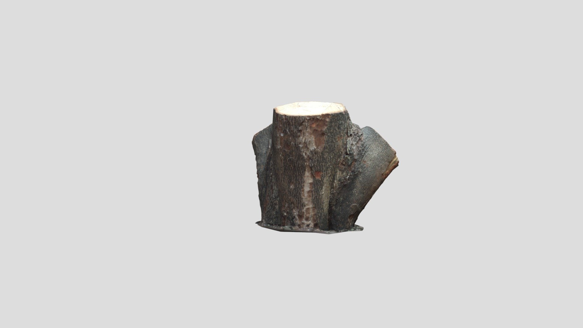 Tree trunk - Download Free 3D model by Naveen (@Naveen3d) [fffd611 ...