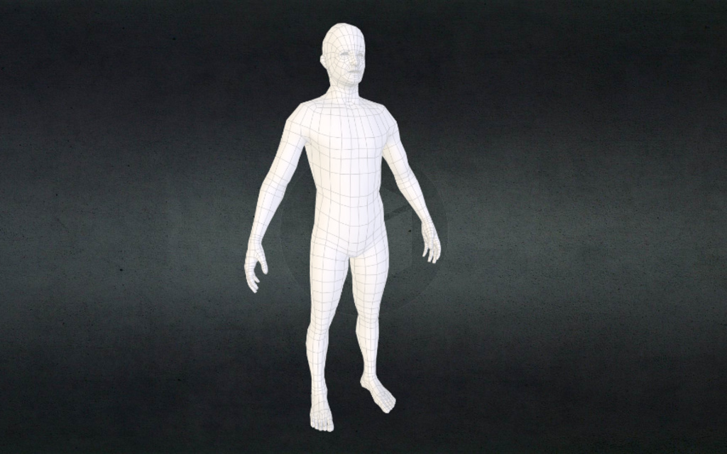 Male Model - 3D model by antiRuben [gFfS6eF] - Sketchfab