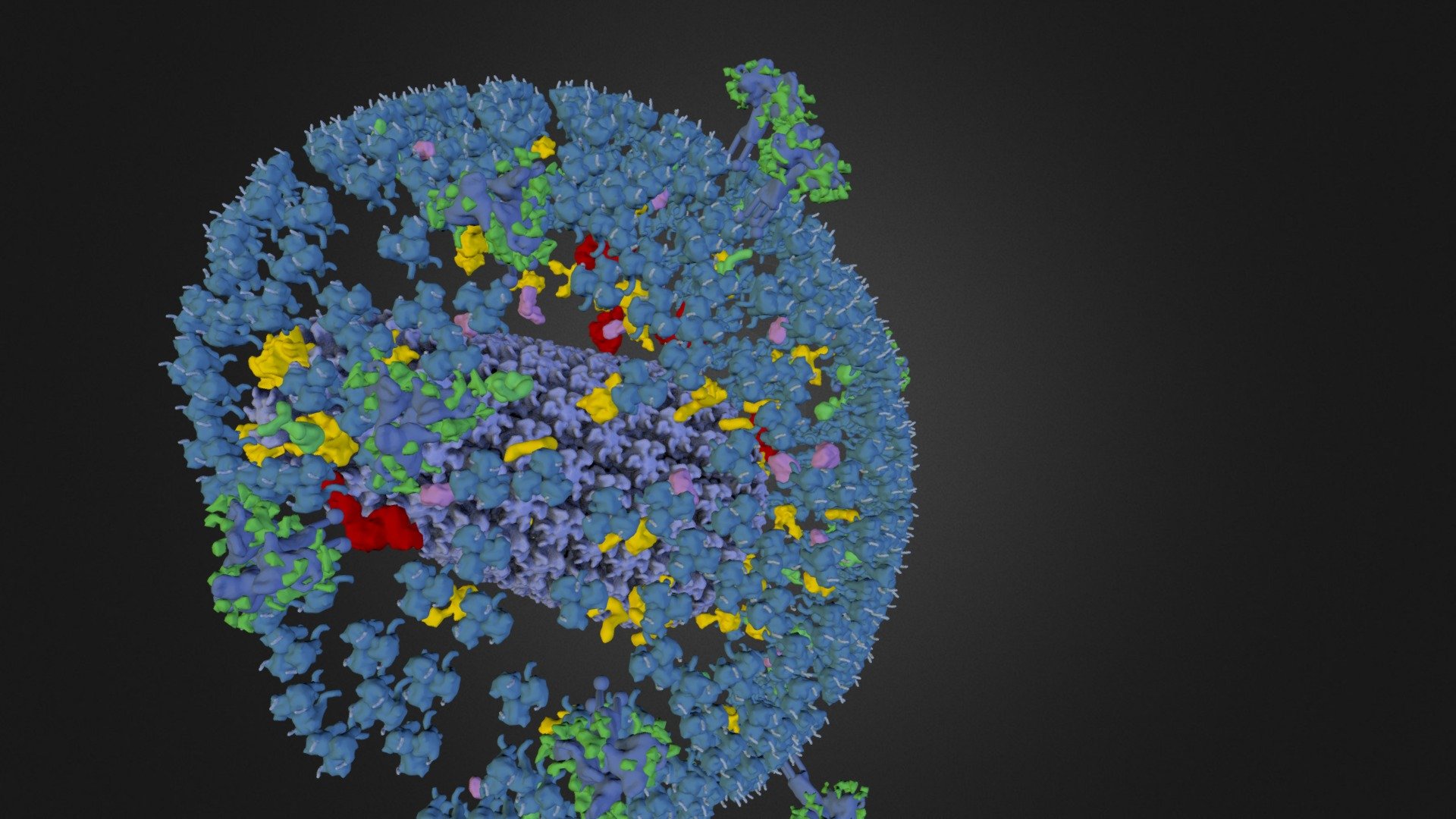 HIV Molecule - 3D model by cdiggins [gQBocww] - Sketchfab