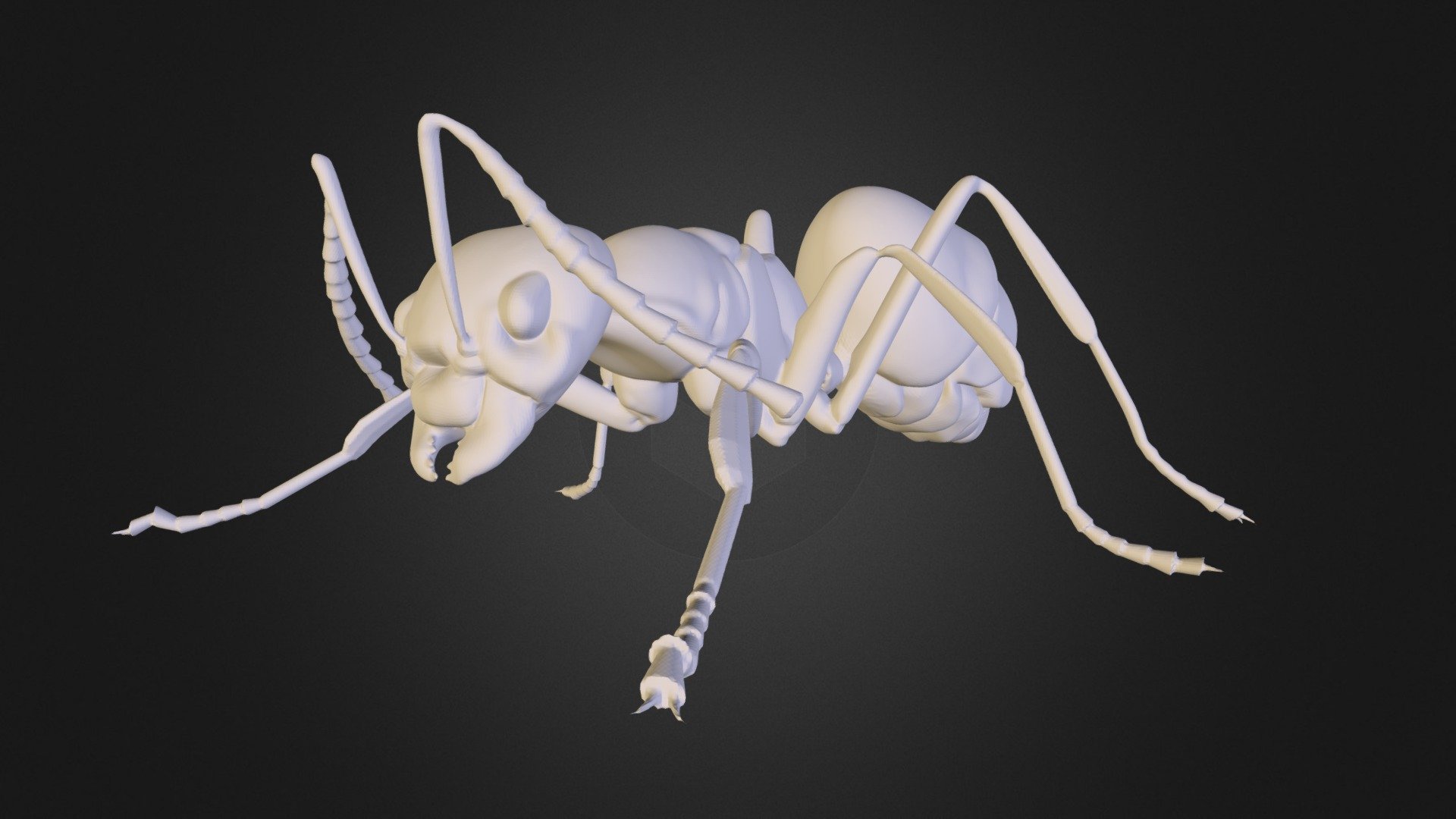 ant2 - 3D model by Mieke Roth (@miekeroth) [guYLV3E] - Sketchfab