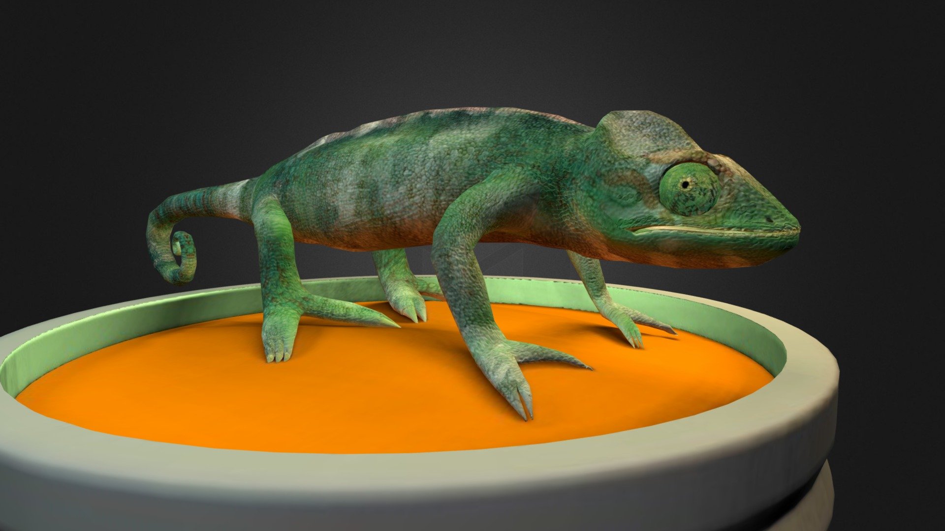 chameleon_blended - 3D model by leonnn1 [iFYSKVt] - Sketchfab