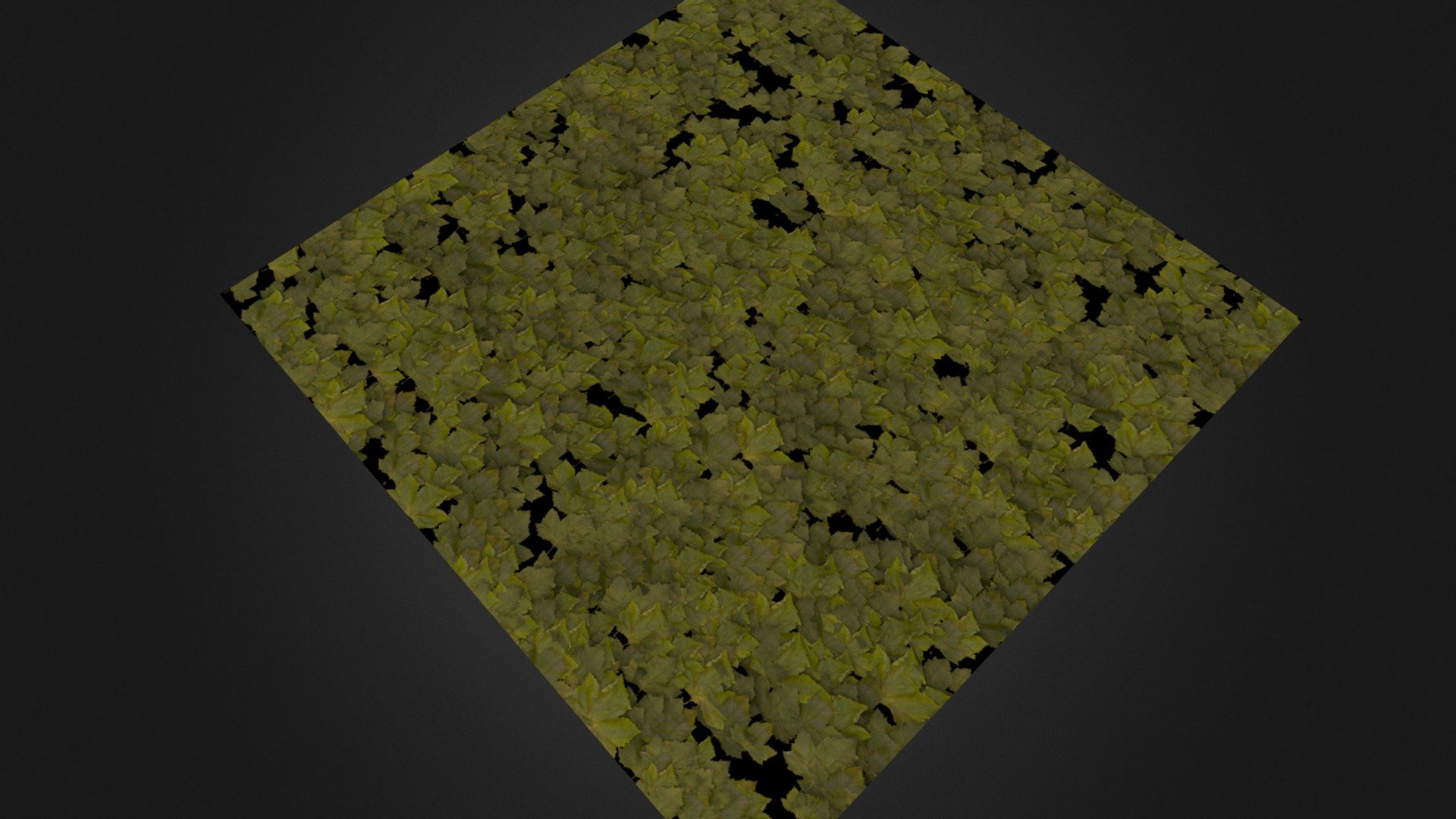 Ivy texture - 3D model by OtsoJylha [kKhAdCq] - Sketchfab
