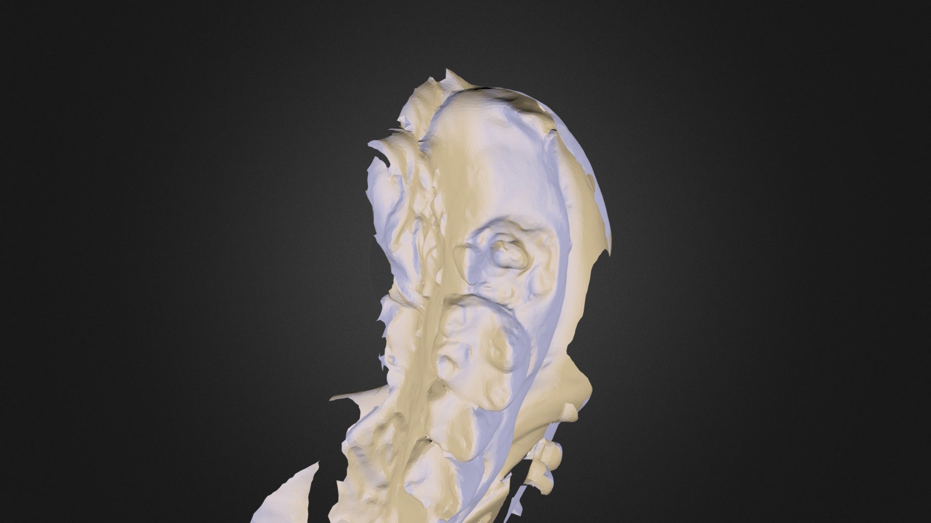 Raw Preparation scan.stl - 3D model by SergeiUmanskii [mx1EySC] - Sketchfab