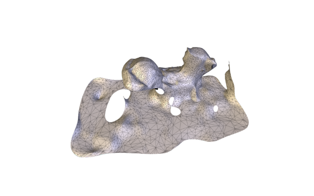 mesh.obj - 3D model by SriniVasan [nGU2vHl] - Sketchfab