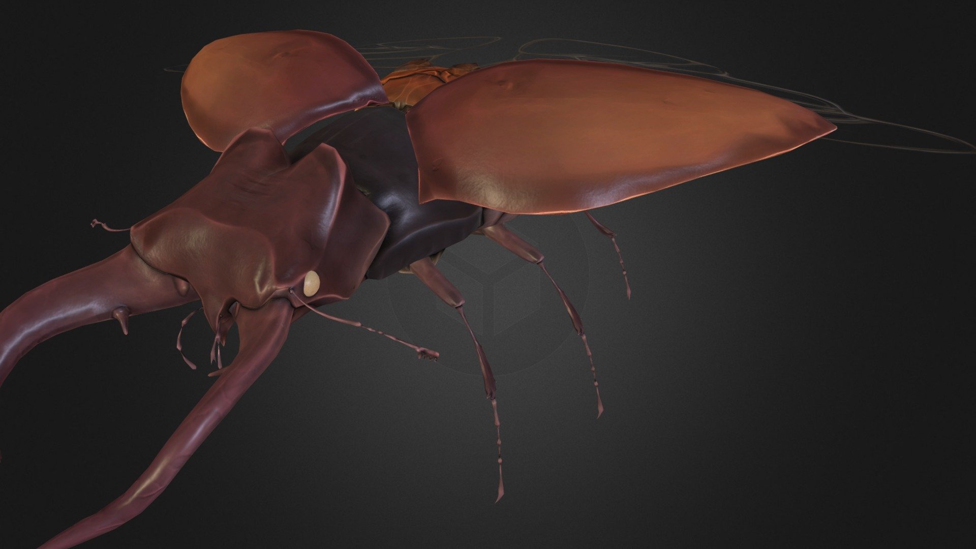 Stag Beetle - 3D model by raccoon [orQV0Sb] - Sketchfab