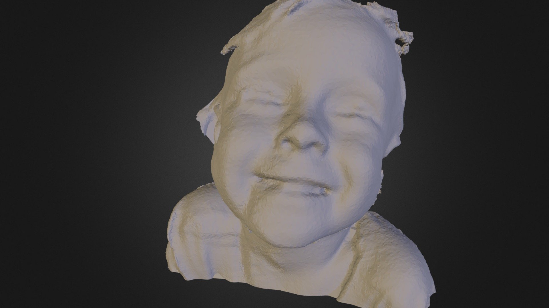 willow face to work with fixed3.stl - 3D model by 3dmemories [pbDqEGb ...