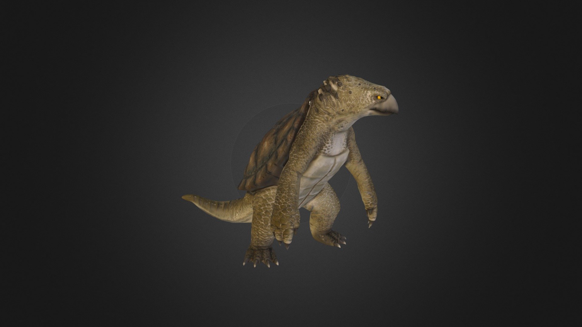 Turtle_Posed - 3D model by Spencer Tracy (@spencertracy) [pmA0ui6 ...