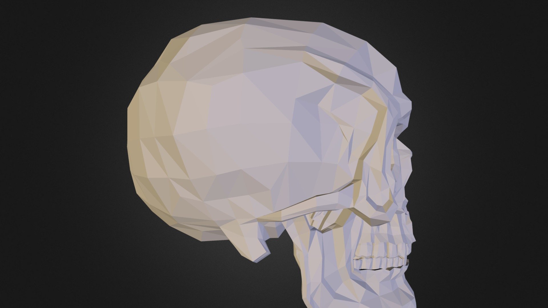 Skull N070211.3DS - 3D model by GuillermoCapellan [qPkIJPN] - Sketchfab