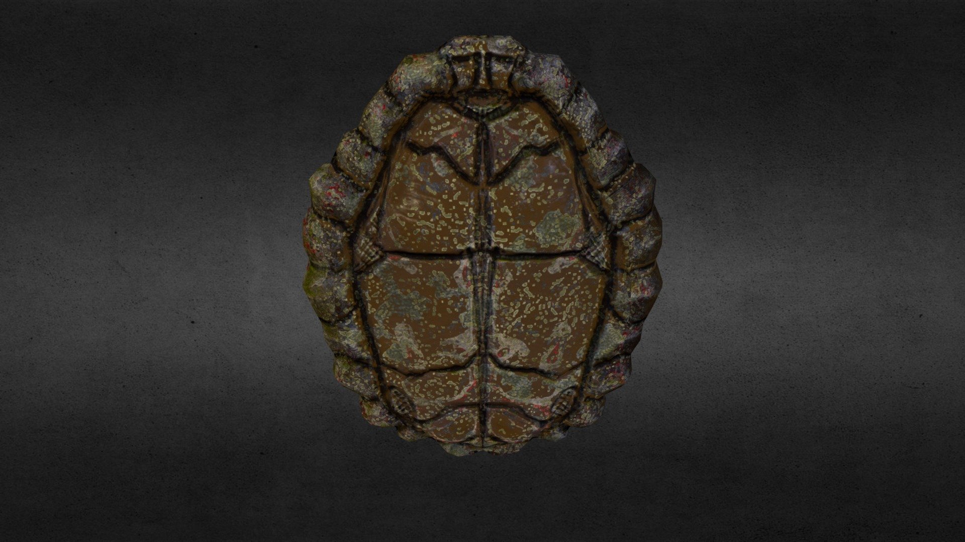 Carapace - 3D model by fly06bzh [qjuMNu2] - Sketchfab