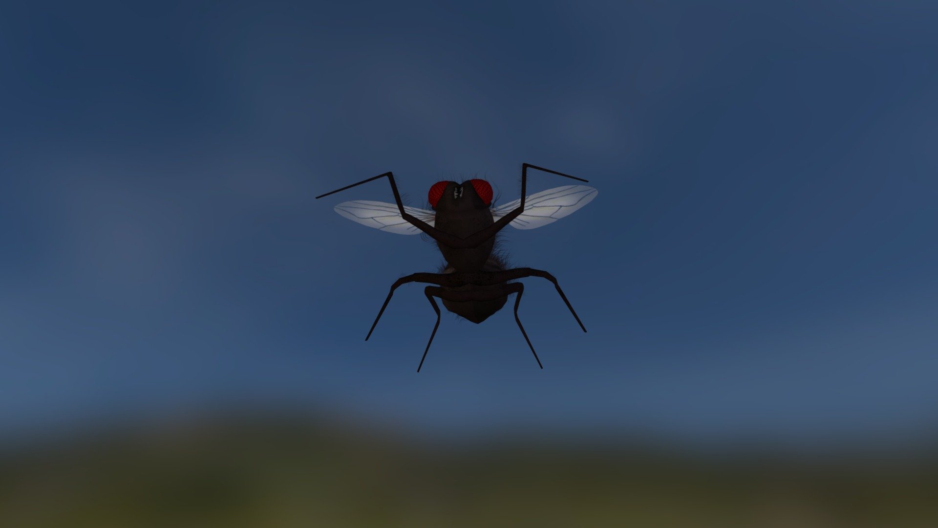 Fly - 3D model by VIAdvena (@hard3d) [sCqy3kG] - Sketchfab