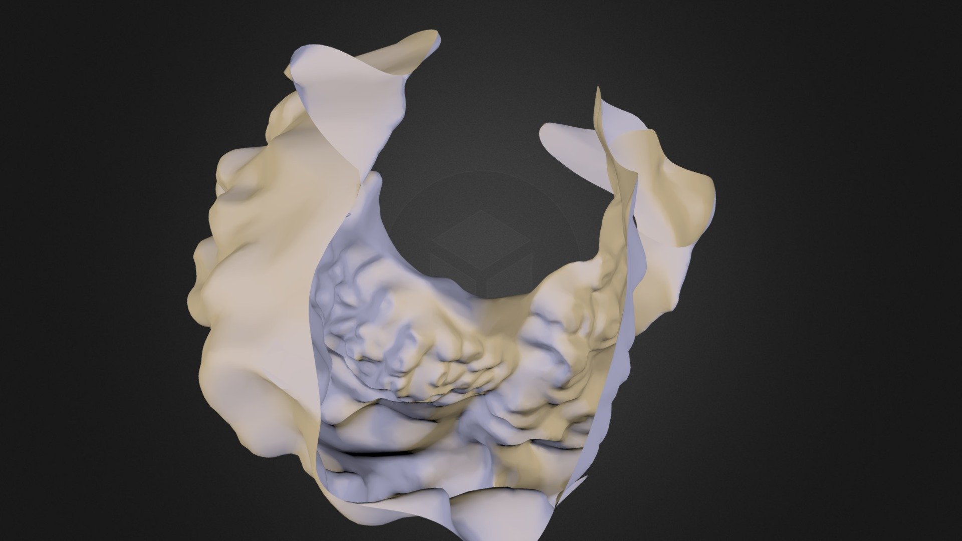 mesh.obj - 3D model by AnitaAdamic [sLXTGAh] - Sketchfab