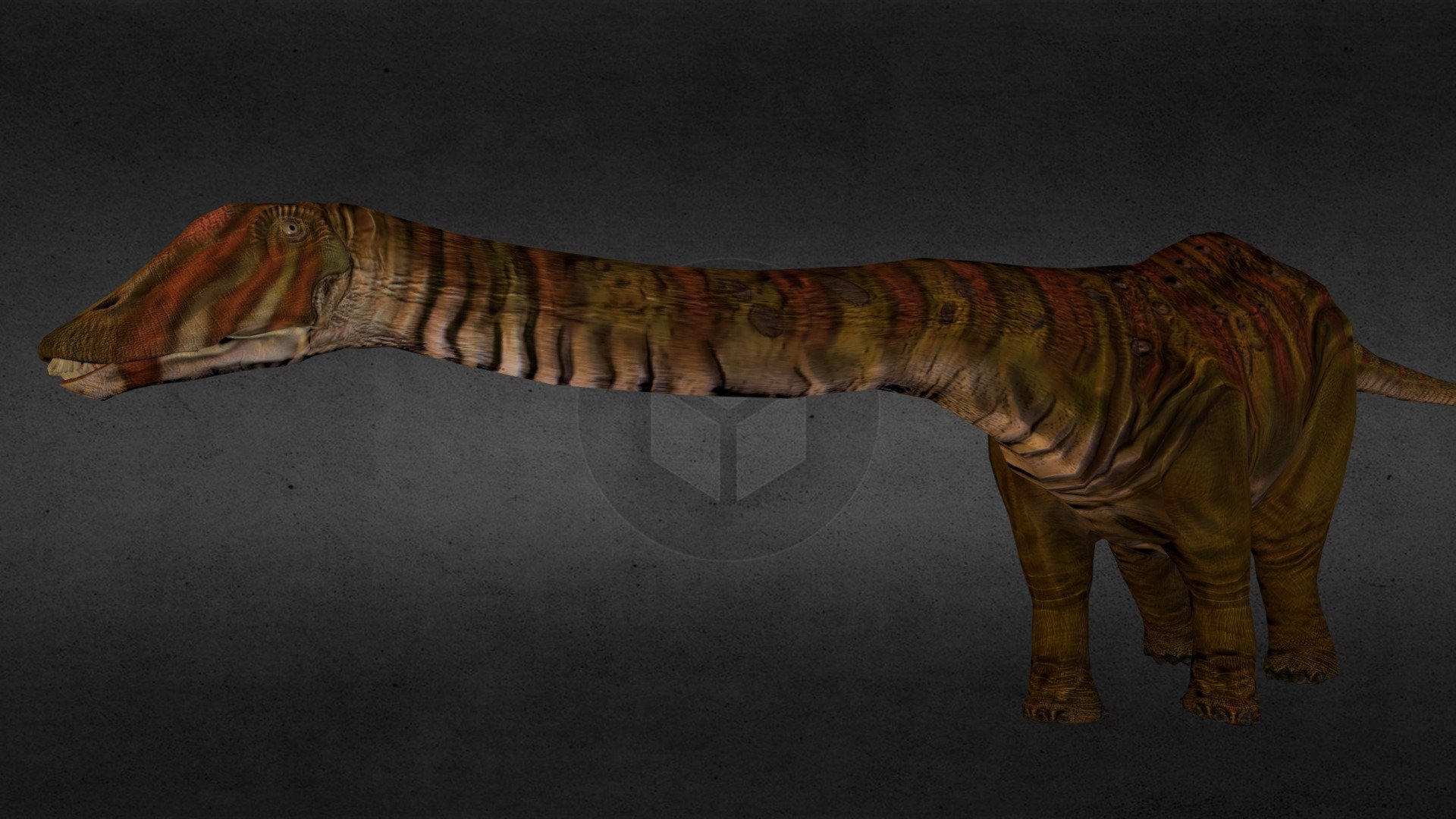Diplodocus - 3D model by OliverCooke [ssPH5xL] - Sketchfab