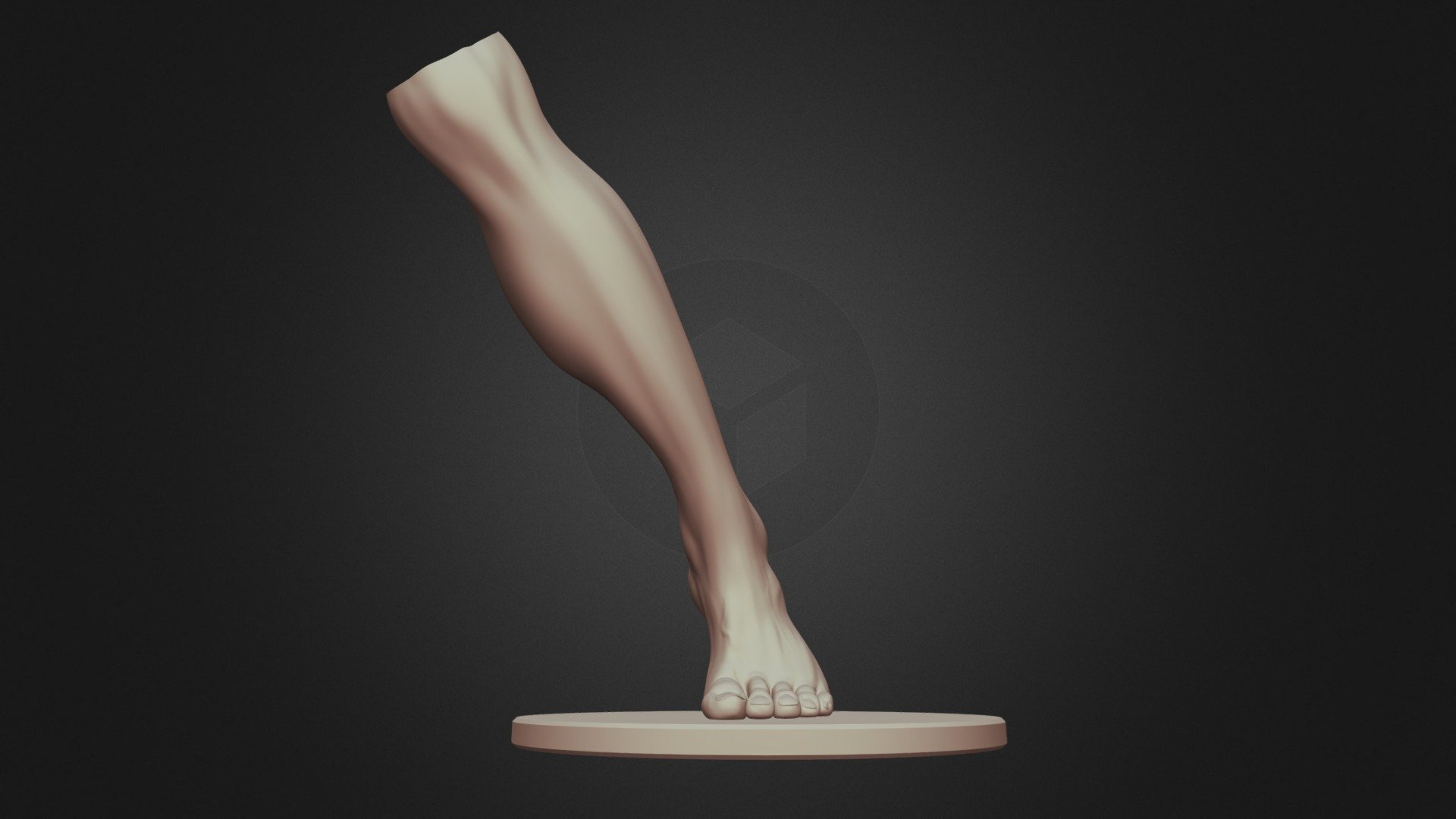 Foot - 3D model by JC (@volumic) [t3HoVef] - Sketchfab