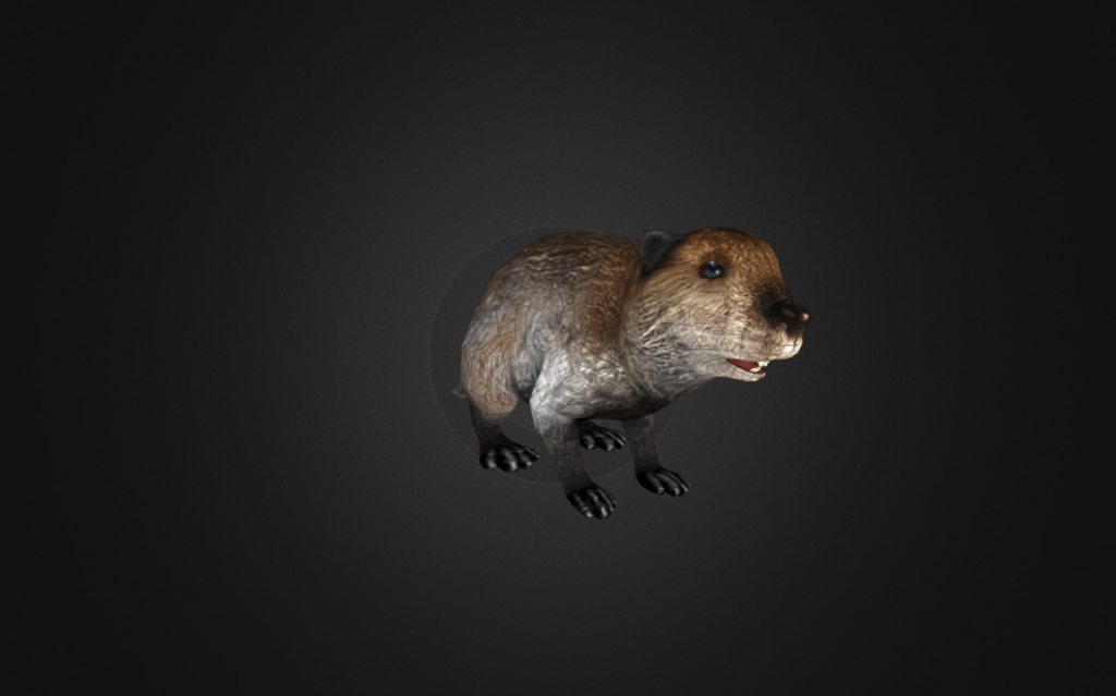 Beaver - 3D model by wyncg [t3llhpI] - Sketchfab