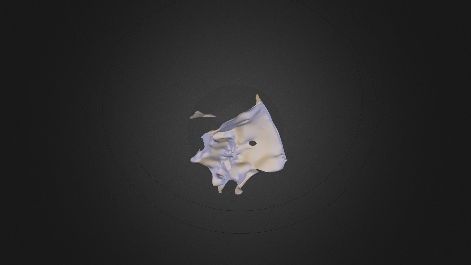 Project 5 - Capturing Real World objects into a - 3D model by intentz ...