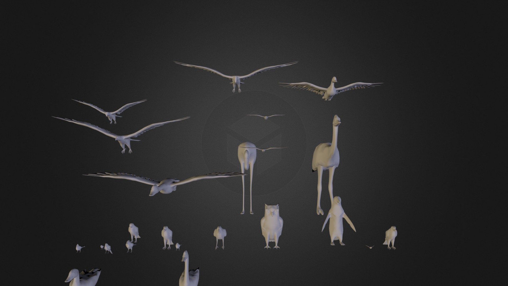 c4d bird collection.3ds - 3D model by vinisuri [xqz149W] - Sketchfab