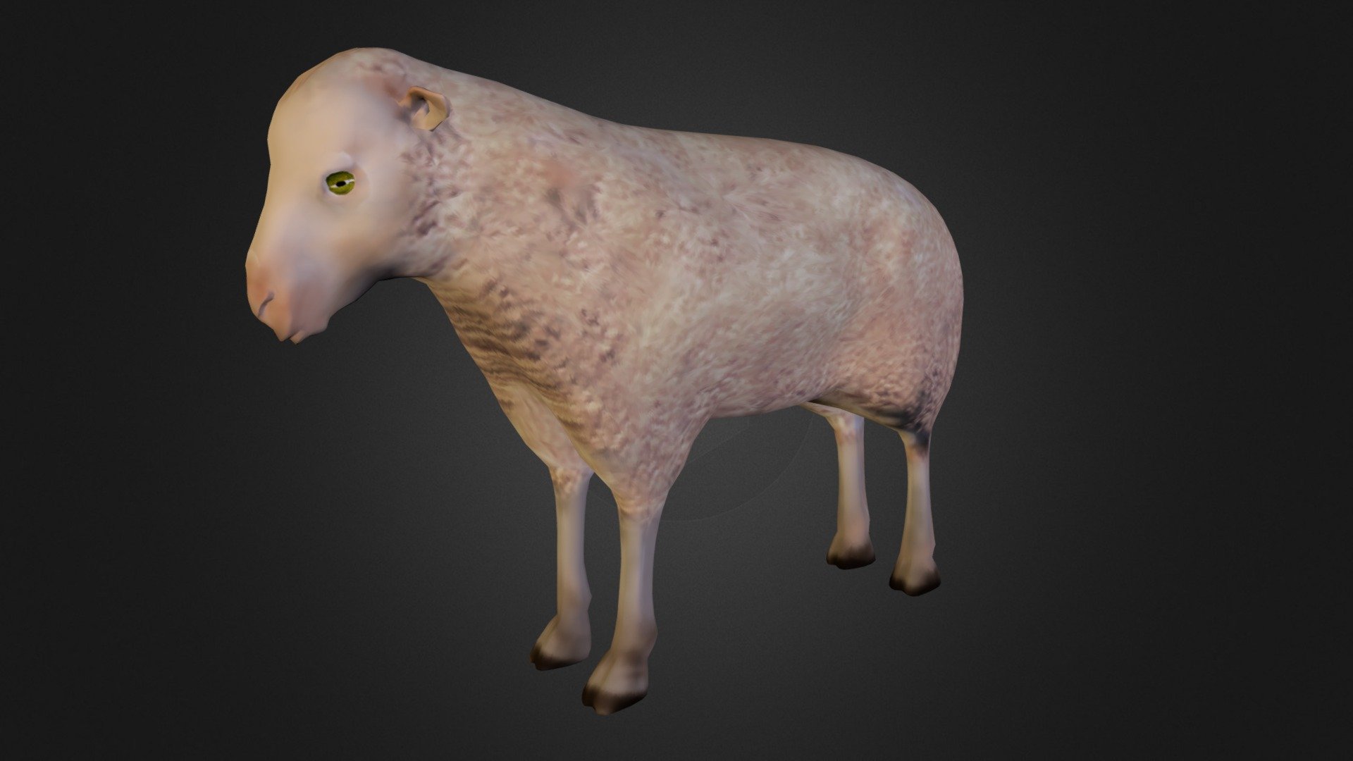 Sheep White - 3D model by Artworkz [yAieJns] - Sketchfab