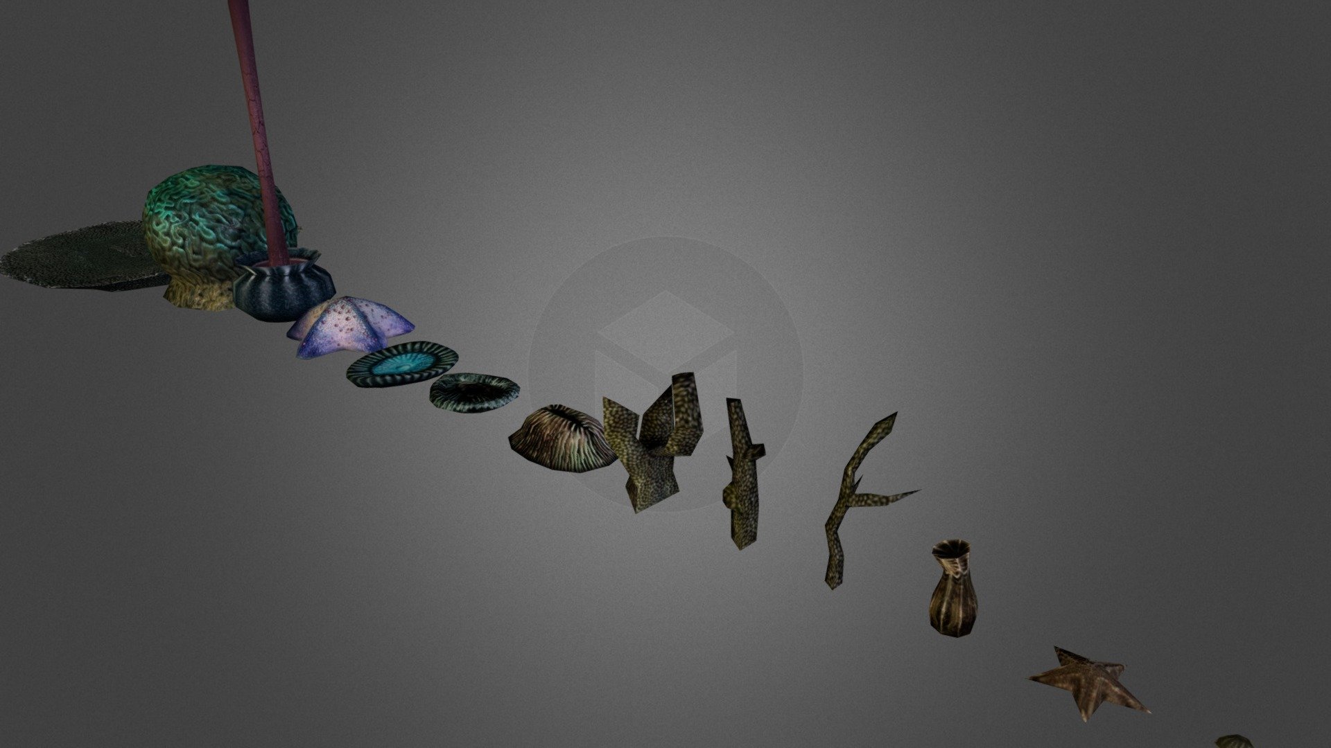 Mollusk_Asset_Set - 3D model by Leandre_Manseau_Martineau [zmYuYK9 ...